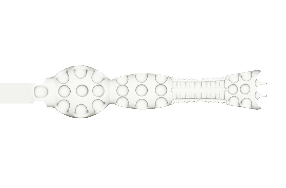 Collections Archive | Fleshy